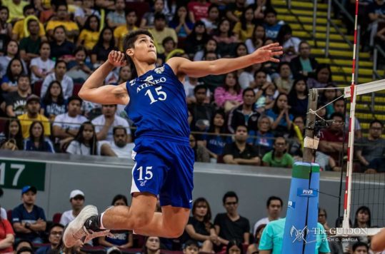 marck espejo - Volleywood