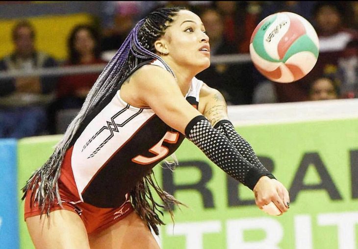 Articles - Volleywood